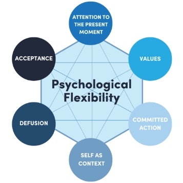 Applying the ACT Hexaflex to end-of-life care - Contextual Consulting