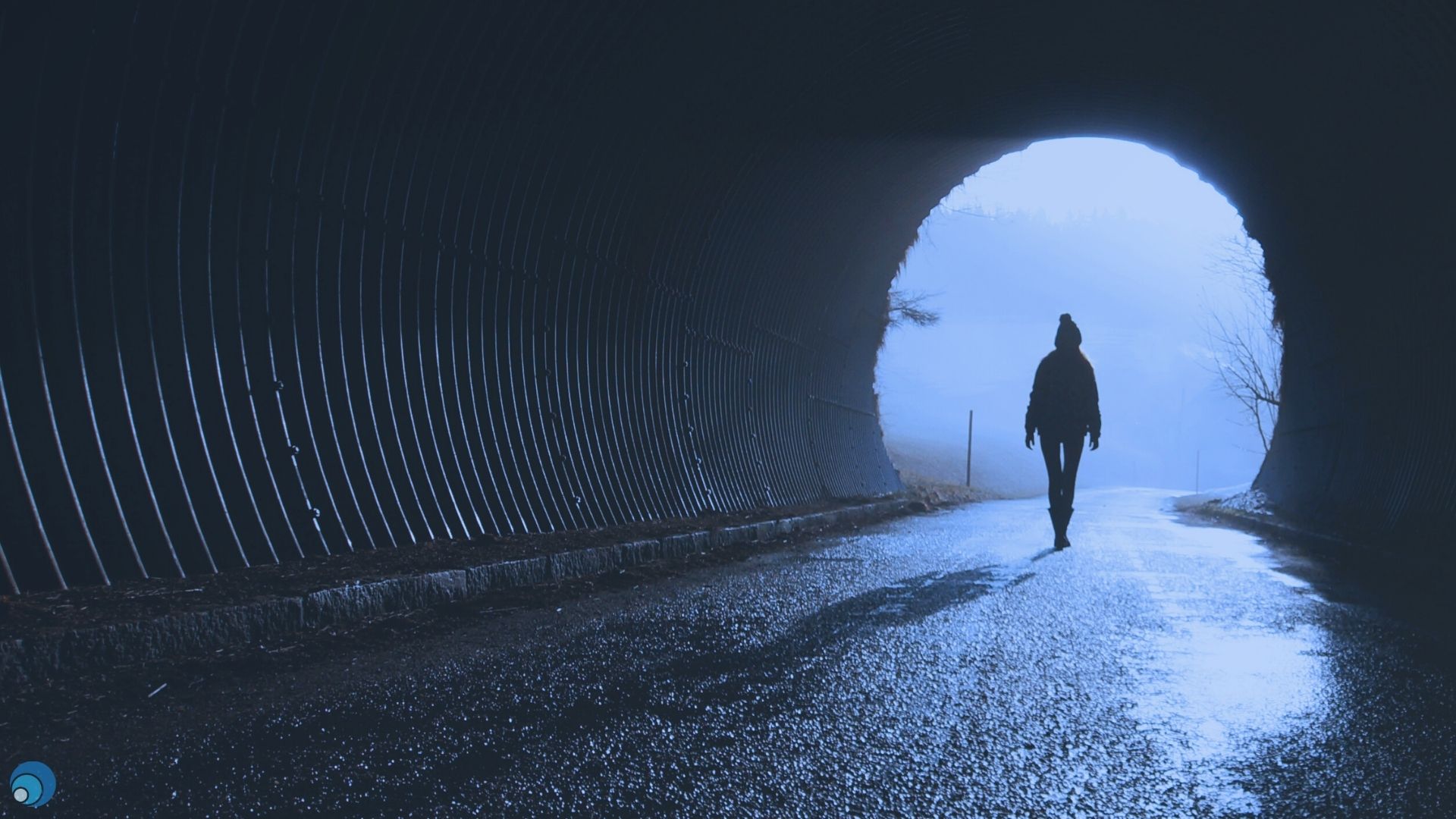 End of life and ACT - Contextual Consulting