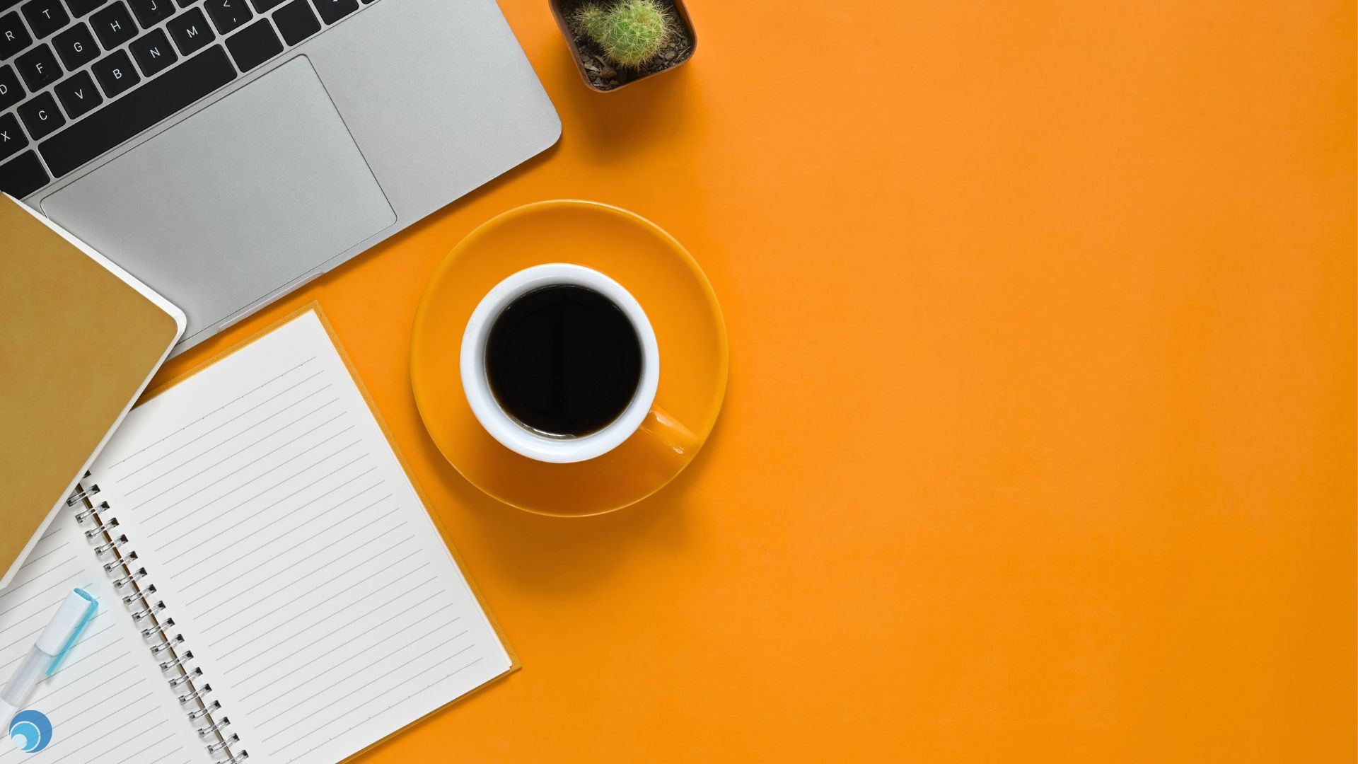 9 things all ACT therapists do, say, or own - Contextual Consulting